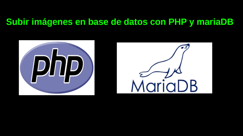 Subir imágenes en base de datos con PHP8 y mariaDB - Cesar Systems